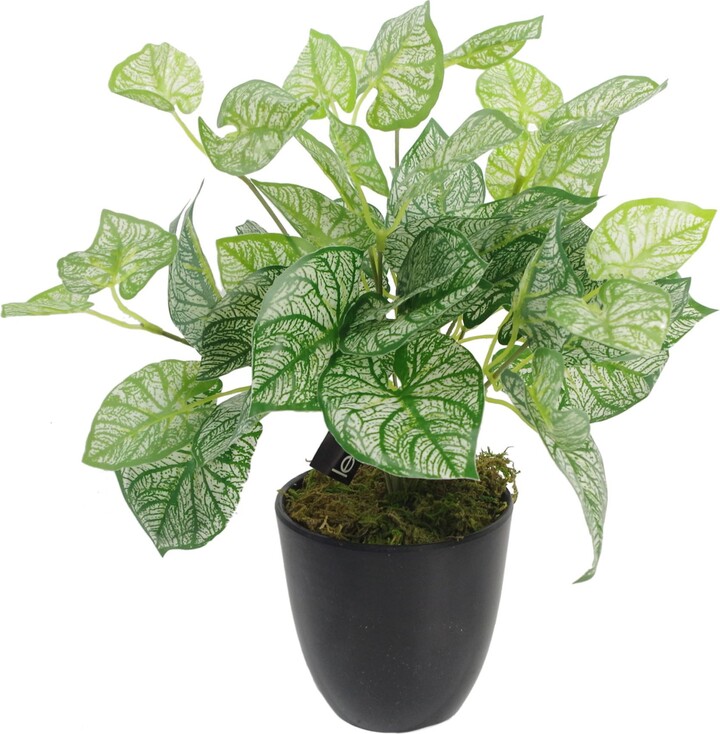 Leaf Artificial Foliage Plant Realistic Pot 40cm Caladium Realistic ...