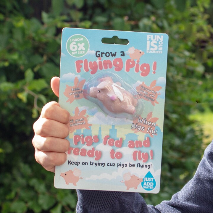Boxer Gifts Grow Your Own Flying Pig Toy - ShopStyle Pool Accessories