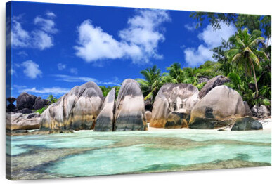 Elephant Stock Anse Source D Argent Seychelles - ShopStyle Slipcovers