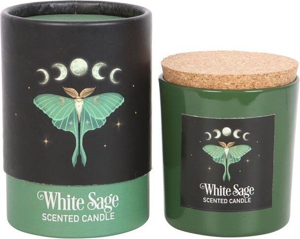 KDMD Luna Moth White Sage Candle - ShopStyle