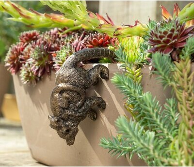 Jardinopia Ring Tailed Lemur & Pup Statue - ShopStyle Garden Decor