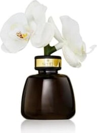 Senti Fig Little Orchid Diffuser - ShopStyle Home Fragrance