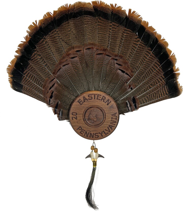 Turkey Tail Fan Logo