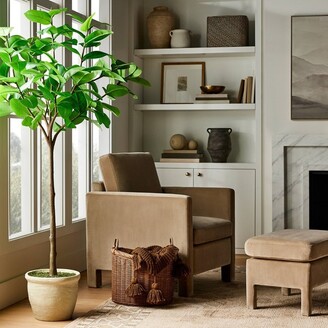 Threshold designed w/Studio McGee Ficus Tree - Threshold™ designed with ...