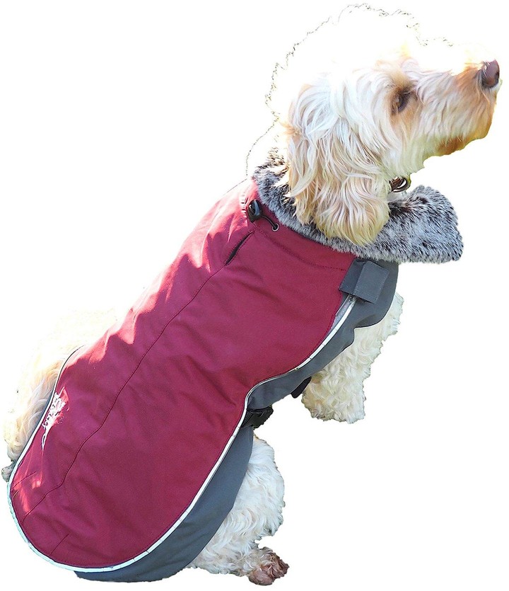 Rosewood 18In Luxury Night-Bright Led Jacket - ShopStyle Pet Clothing