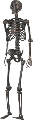 61in Life Size Posable Skeleton Decor - ShopStyle