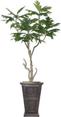 Vintage Home 89" Artificial Breadfruit Tree in Pot - ShopStyle Decor