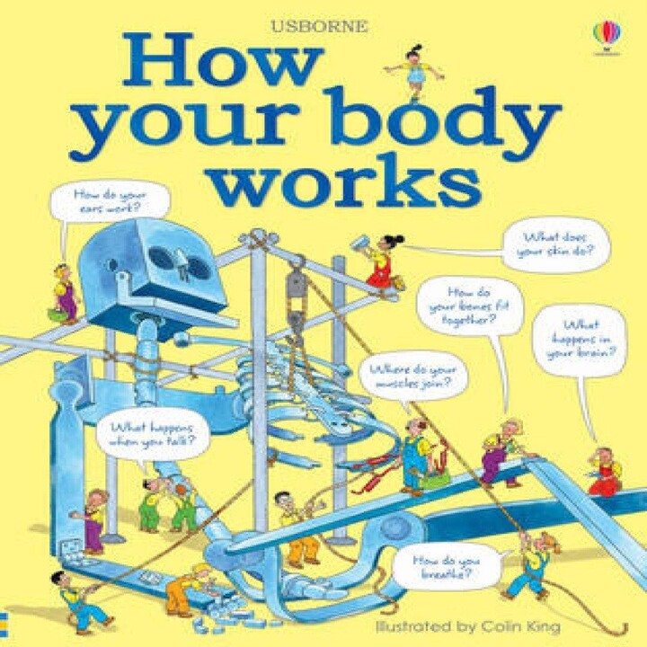 Judy Hindley How your body works Book - ShopStyle