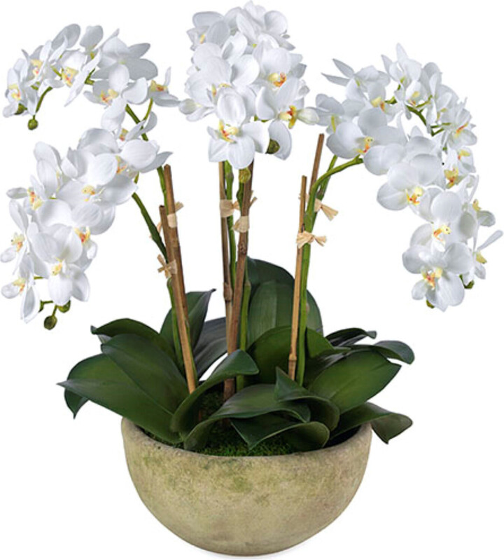 Diane James Designs - ShopStyle Decor