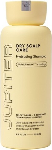 Jupiter Dry Scalp Care Hydrating Shampoo - 8.5 fl oz - ShopStyle