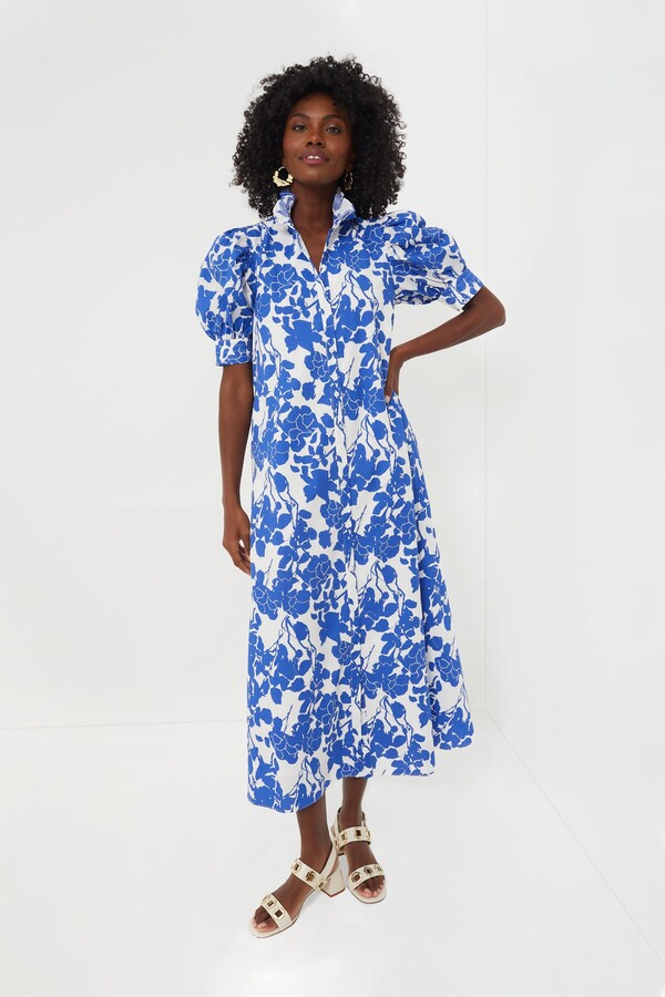 Hyacinth House Blue Floral Ruffle Collar Louisa Maxi Dress - ShopStyle