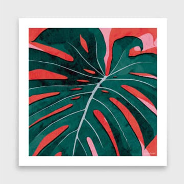 Ruth Thorp Studio Swiss Cheese Plant Art Print - ShopStyle