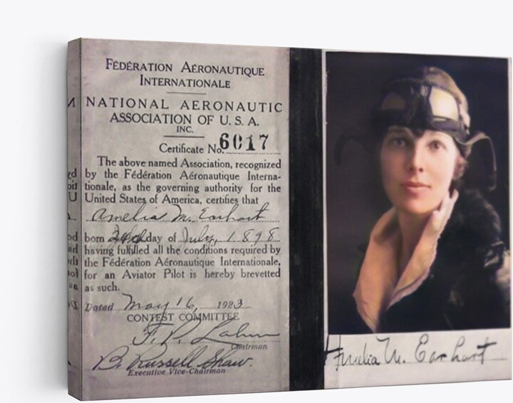 Etsy Amelia Earhart Colorized Pilot's License Autograph Aviation ...