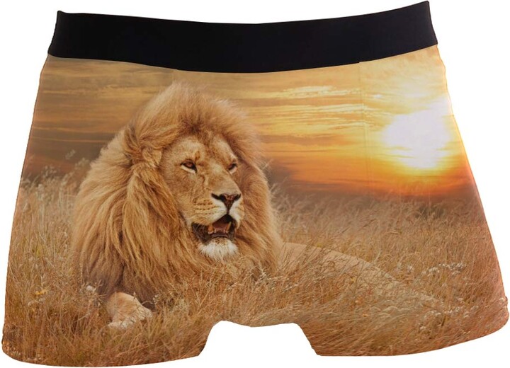 ZZKKO Lion Sunset Mens Boxer Briefs Underwear Breathable Stretch Boxer ...
