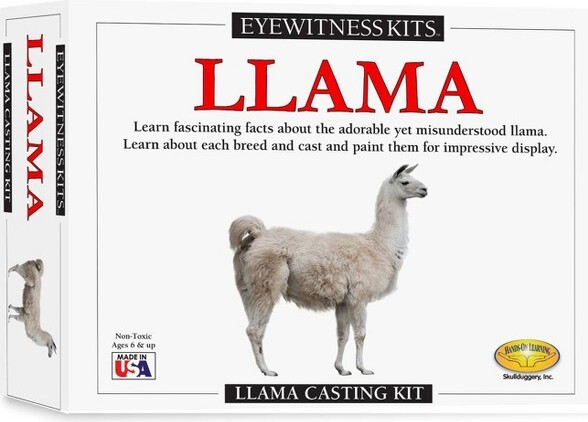 Llama Craft Kit - Eyewitness Kits - ShopStyle Home Office