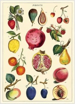 Cavallini & Co Fruits 2 Cavallini Vintage Poster | 51 x 71cm ...