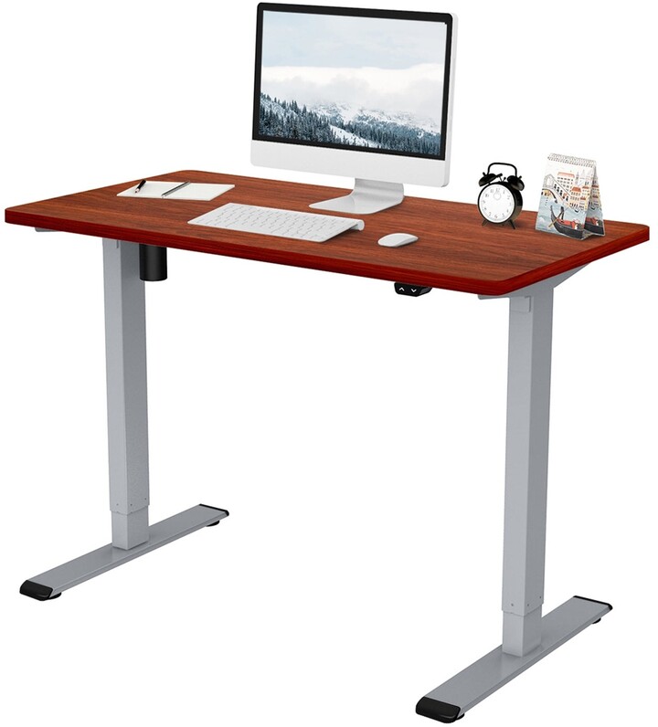 FlexiSpot 48"x24" Electric Home Office Height Adjustable Standing Desk ...