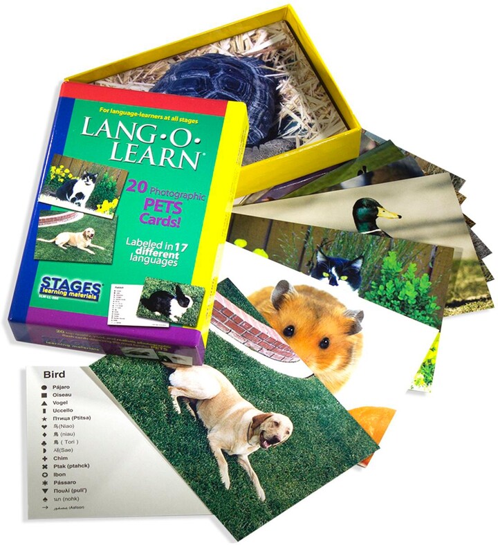 Stages Learning Materials Lang-o-Learn Esl Vocabulary Cards Flashcards ...
