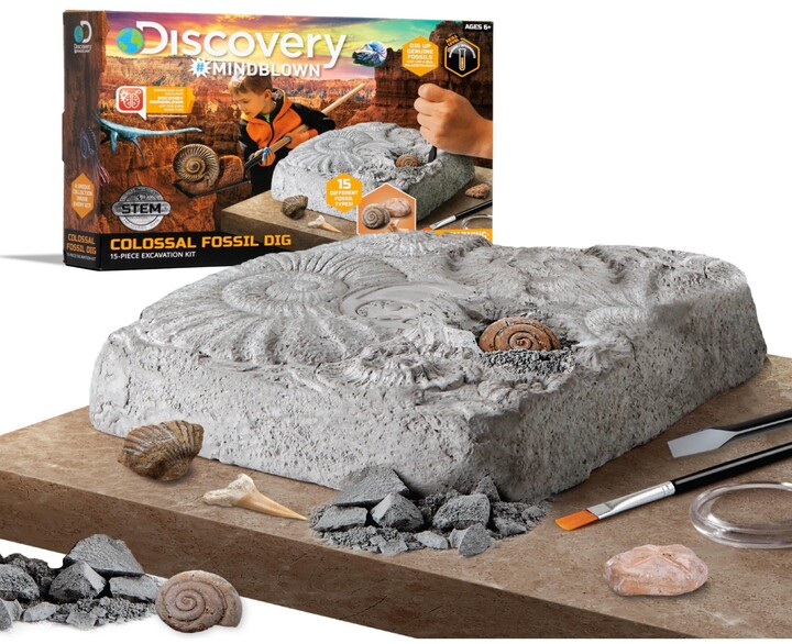 Discovery #Mindblown ColossalFossil Dig Set, 15-Piece Archeology ...