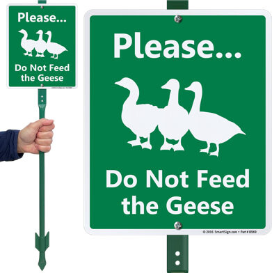 SmartSign Do Not Feed the Geese Sign and Stake Kit - ShopStyle Home Office
