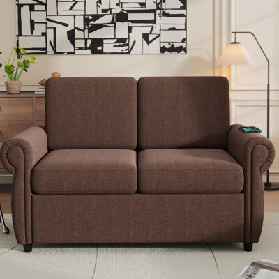 Red Barrel Studio Orisfur Pull Out Sofa Bed Loveseat Sleeper With ...