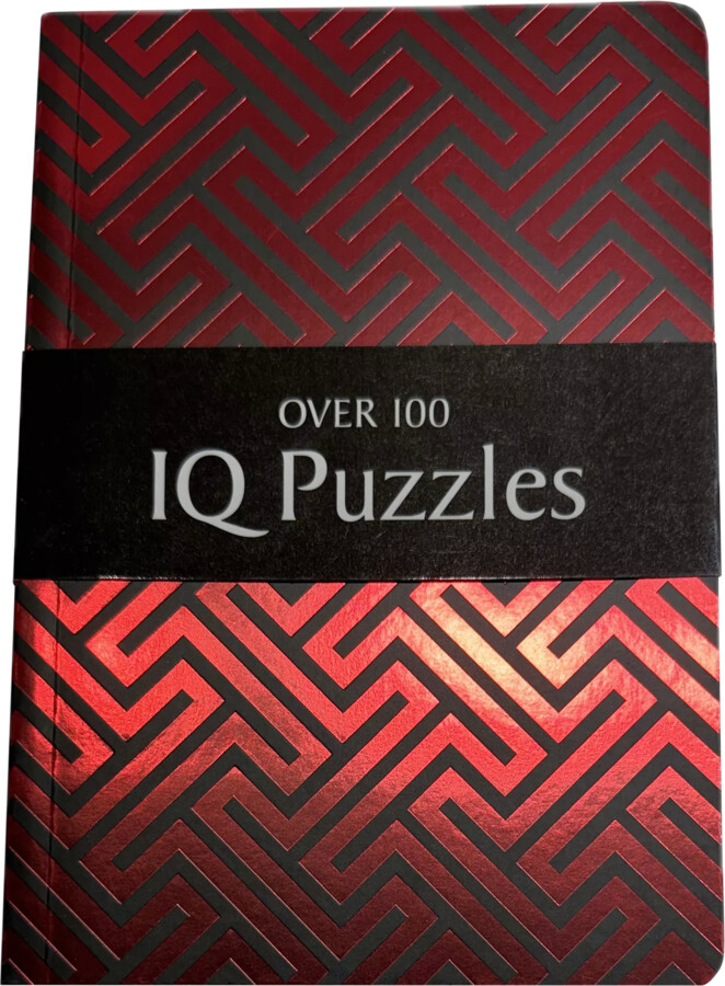 Allsorted IQ Puzzles Book - ShopStyle