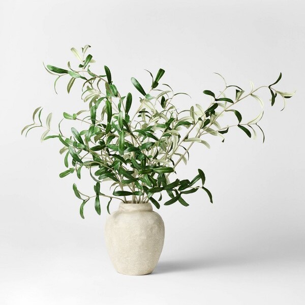 Threshold designed w/Studio McGee Olive Leaf Potted Arrangement - Threshold™ designed with ...