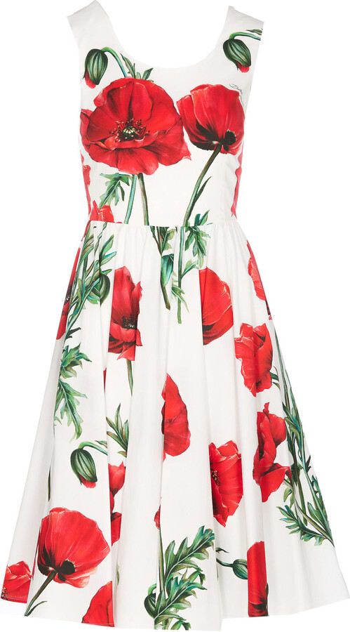 Dolce & Gabbana Poppy Print Dress - ShopStyle