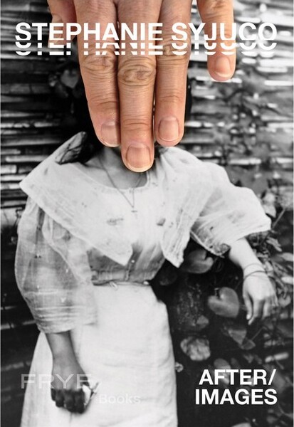 Frye Art Museum Stephanie Syjuco: After/Images - by Georgia Erger ...