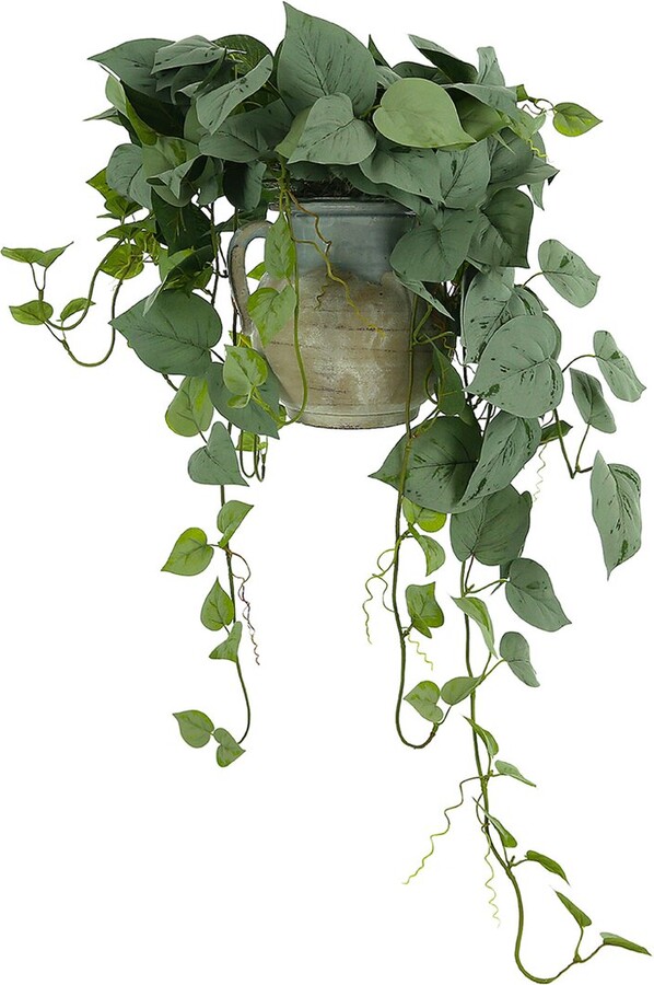 Creative Displays Draping Frosted Ivy - ShopStyle Decor