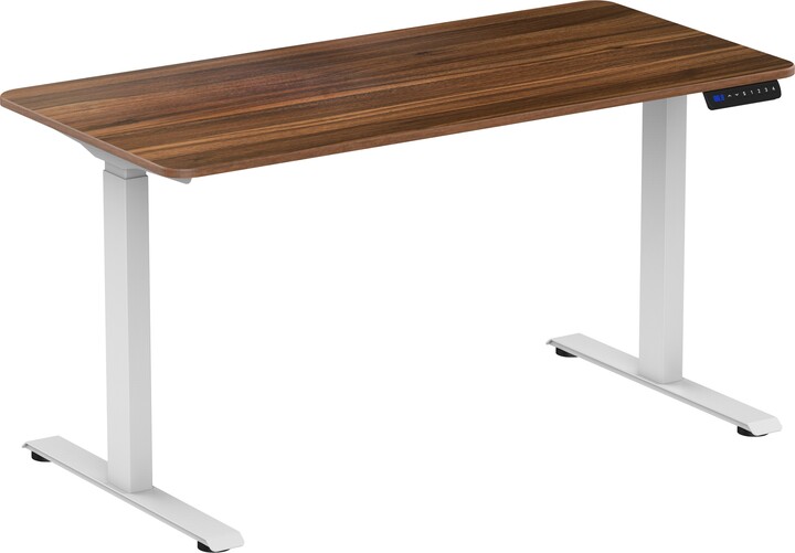 RASOO Electric Standing Desk with Dual Motors, Height Adjustable Sit ...