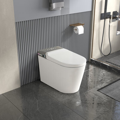 xuanlur Smart Toilet, Smart Bidet Toilet with Remote Control, Raised ...