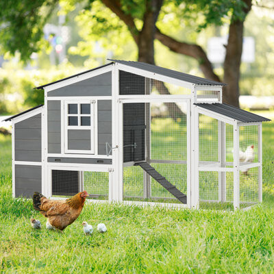 Archie & Oscar Flitwick 81 Large Chicken Coop with Chicken Run ...