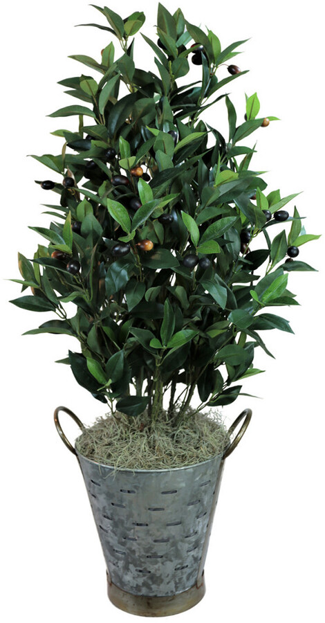 Creative Displays Olive Tree - ShopStyle Decor