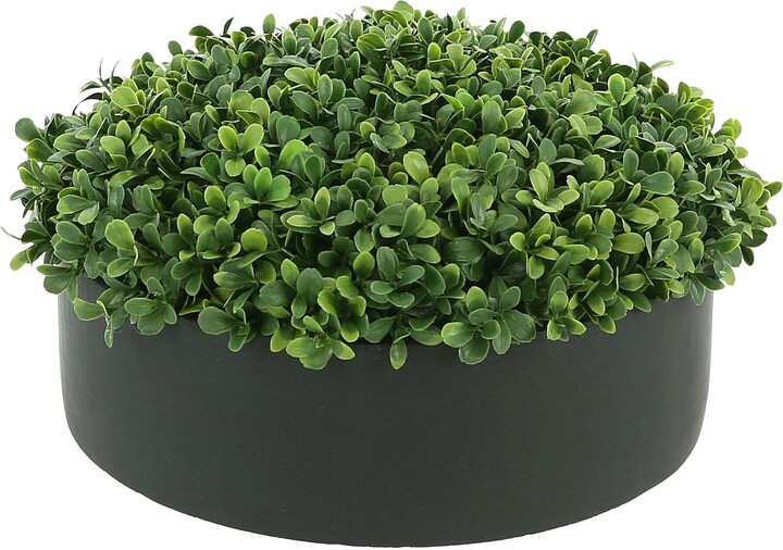 Creative Displays UV Rated Outdoor Boxwood in 12" Round Fiberstone ...