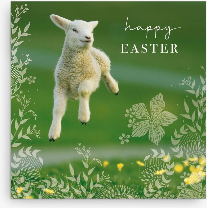 Woodmansterne Jumping Lamb Easter Card - ShopStyle