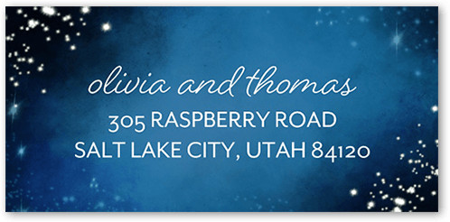 Shutterfly Address Labels: Amongst The Stars, Whimsical, Set of 24, Blue, Matte - ShopStyle