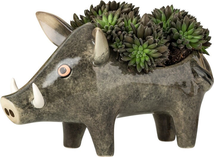 Hannah Turner - Wild Boar Planter - ShopStyle Garden Decor