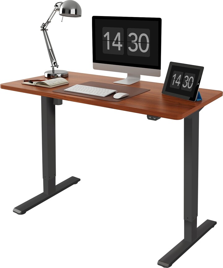 FlexiSpot Electric Home Office Height Adjustable Standing Desk Computer ...