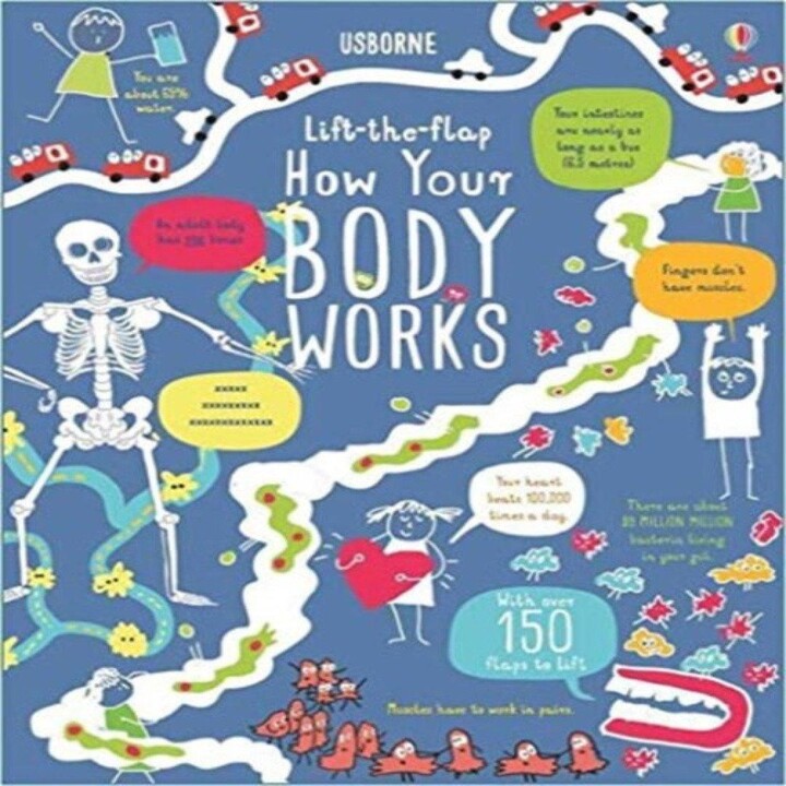 Rosie Dickins Lift-the-Flap How Your Body Works Book - ShopStyle