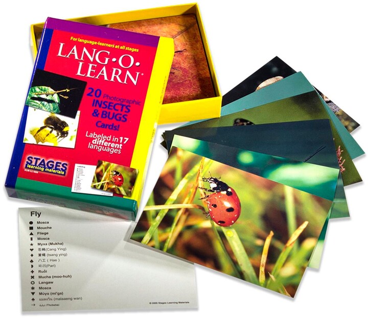 Stages Learning Materials Lang-o-Learn Esl Vocabulary Cards Flashcards ...