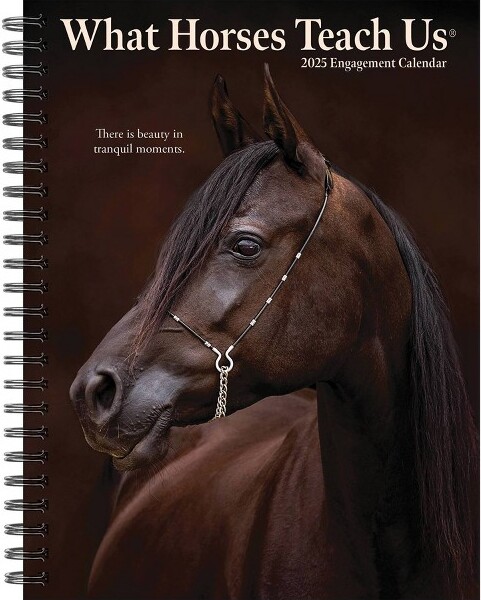 Willow Creek Press What Horses Teach Us 2025 Engagement Calendar ...