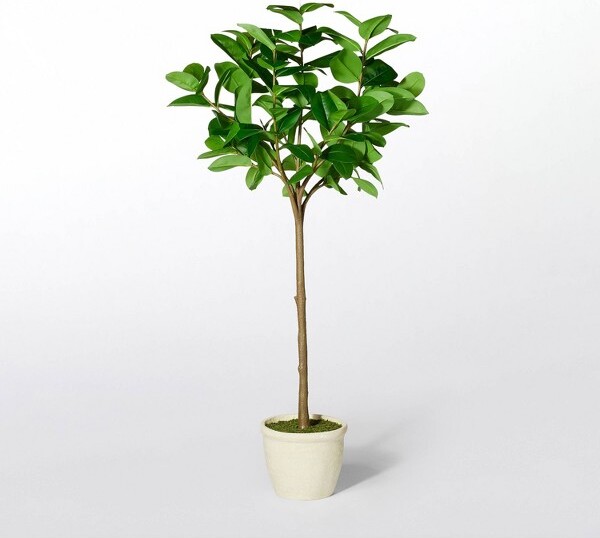 Threshold designed w/Studio McGee Ficus Tree - Threshold™ designed with ...