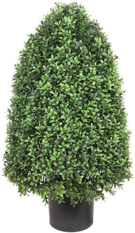 ROUNDED CONE BOXWOOD Rounded Cone Cone Boxwood - ShopStyle Garden Decor