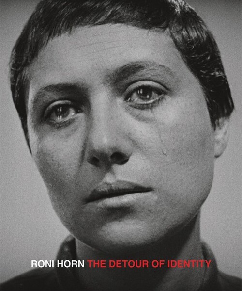 Steidl Roni Horn: The Detour of Identity - (Hardcover) - ShopStyle Clocks