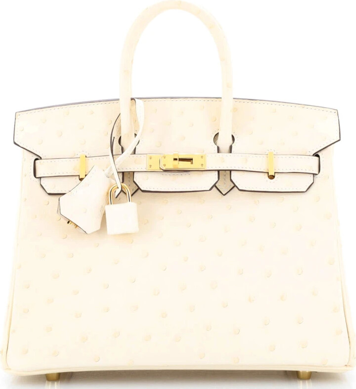 Hermes Birkin 25 exotic leathers tote - ShopStyle