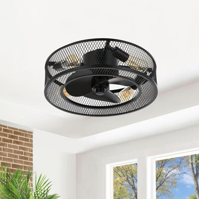 Trent Austin Design Morelli 18'' Black Caged Ceiling Fan with Remote ...