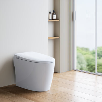 HOROW Non-Electric Smart Bidet Toilet Dual Nozzles, Built-in Pump, MAP ...