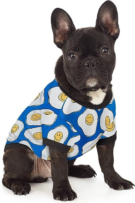 Labrador Dog Pajama