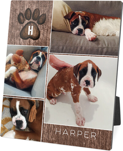 Shutterfly Desktop Plaques: Rustic Pawprint Monogram Desktop Plaque ...